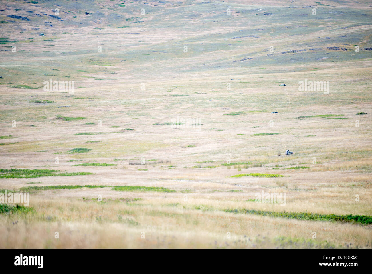 The National Bison Range in Charlo, Montana is one of the most ...