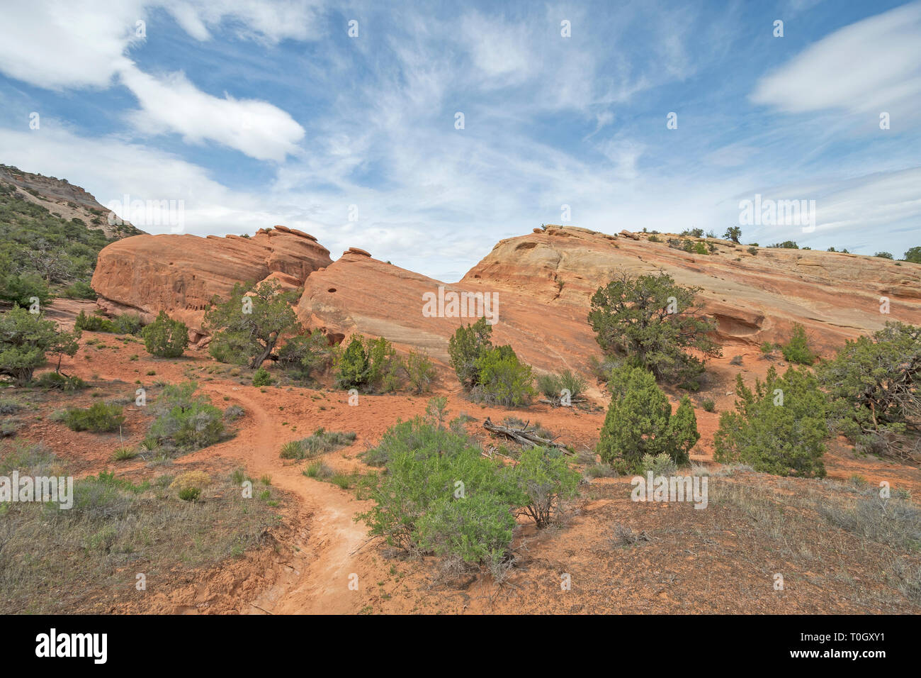 Colorful Rocks on the Western Plateau in Colorado National Monument in ...