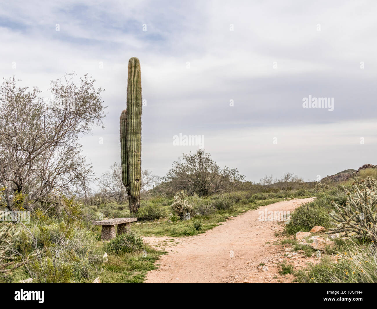 Historic mountain bike trail hi-res stock photography and images - Alamy