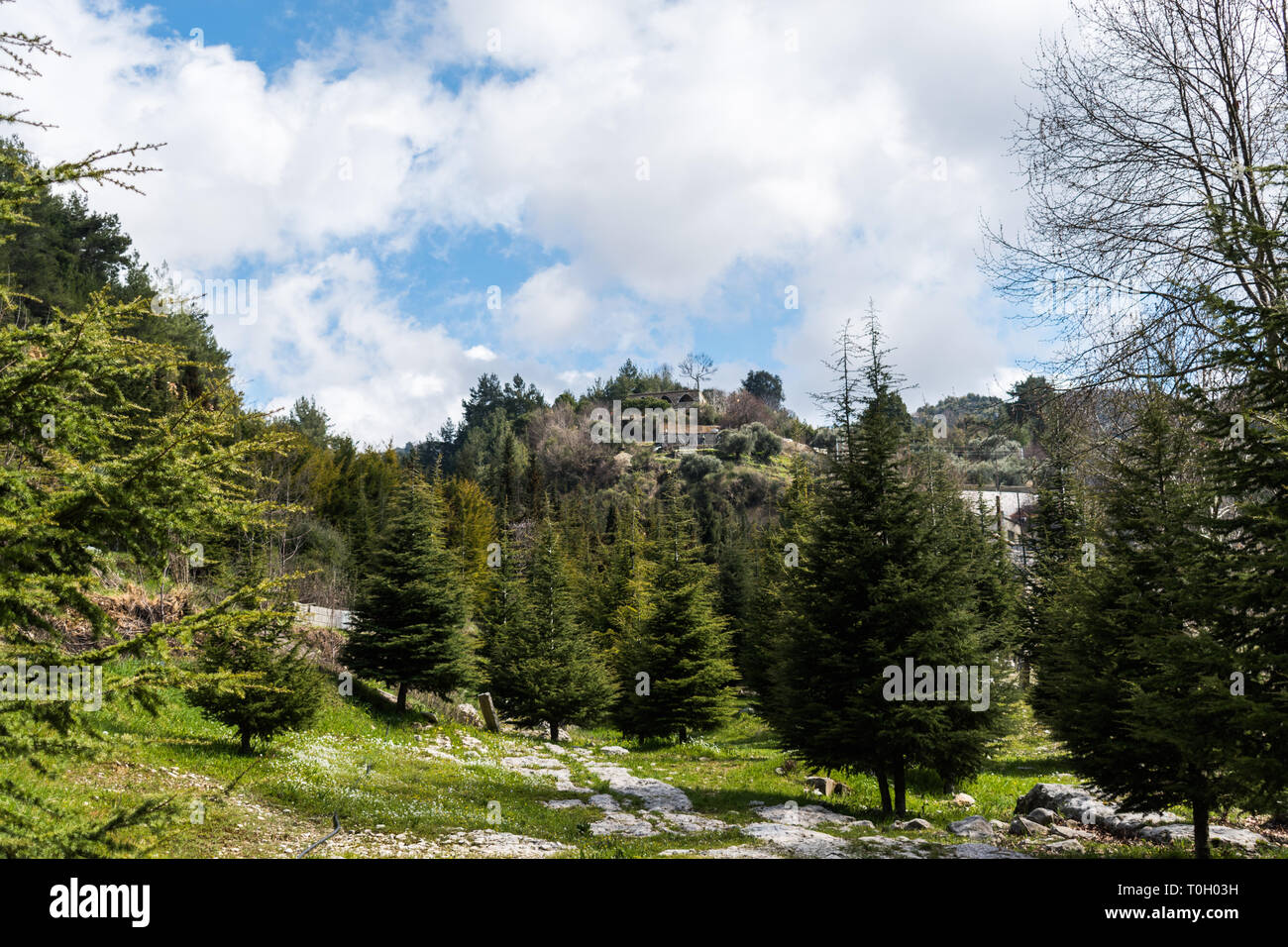 this is a capture for a landscape in Lebanon with a beautiful green ...
