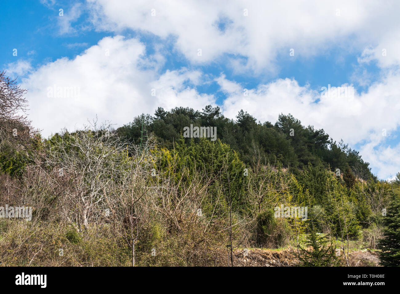 this is a capture for a landscape in Lebanon with a beautiful green ...