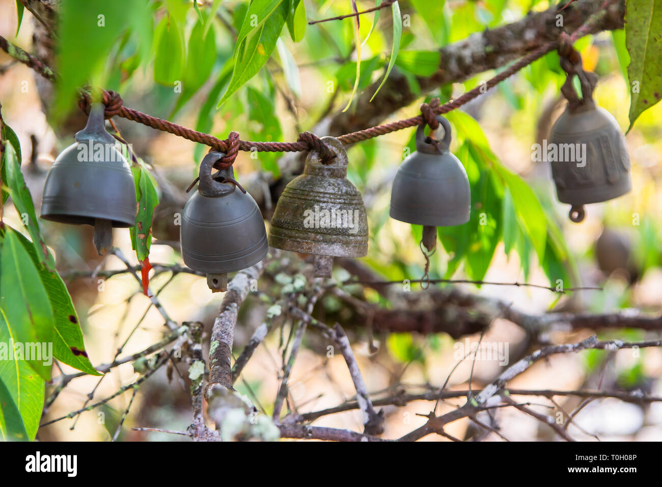 Hindu temple bells hanging hi-res stock photography and images - Alamy
