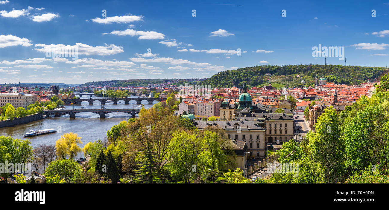 The blooming bush of lilac against Vltava river and Charles bridge ...