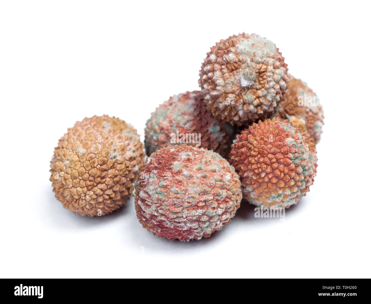 Group of rotten lychees fruits isolated close up on white background ...
