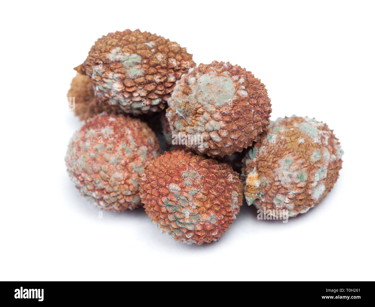 Group of rotten lychees fruits isolated close up on white background ...