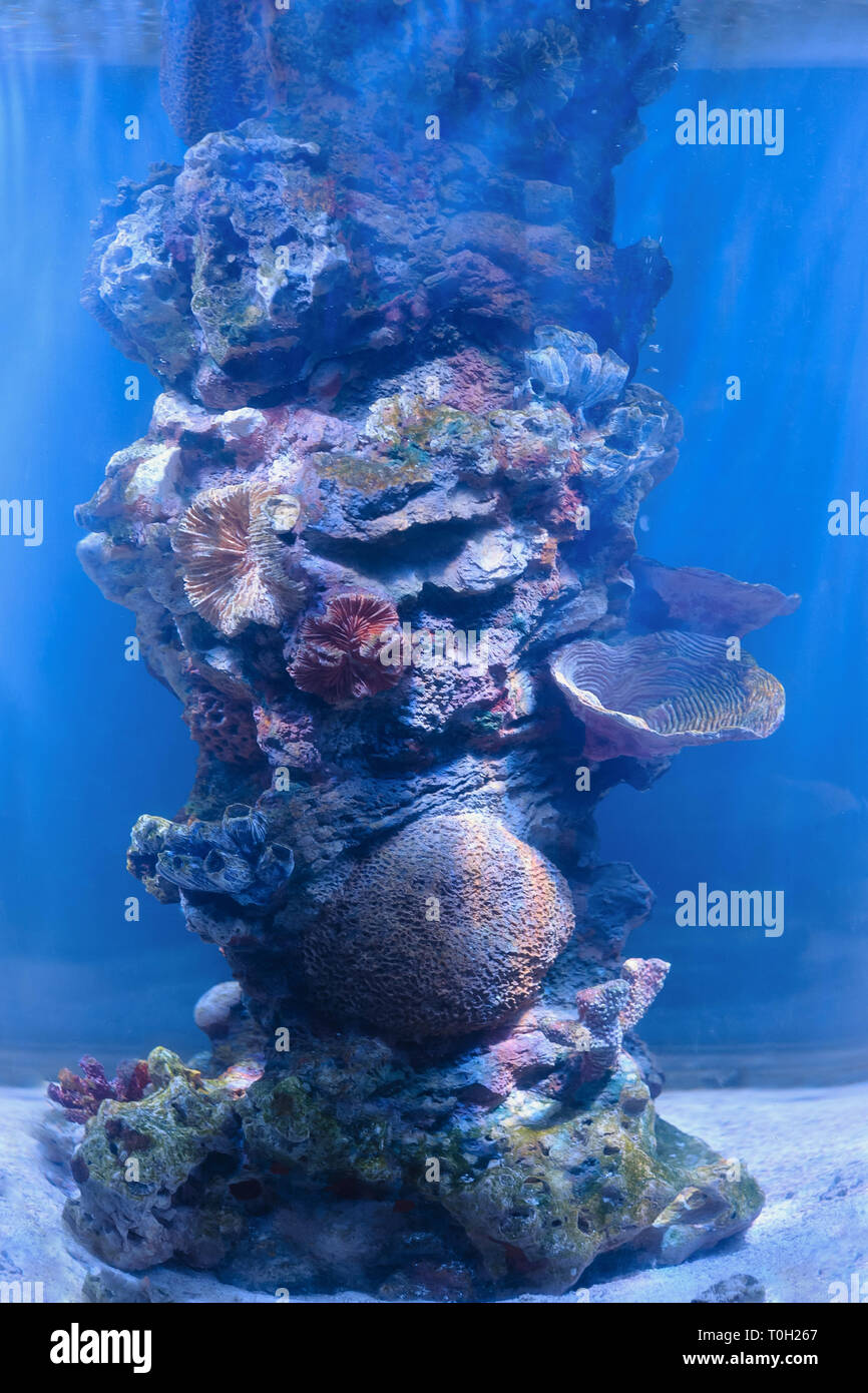 Artificial ecosystem aquatic hi-res stock photography and images - Alamy