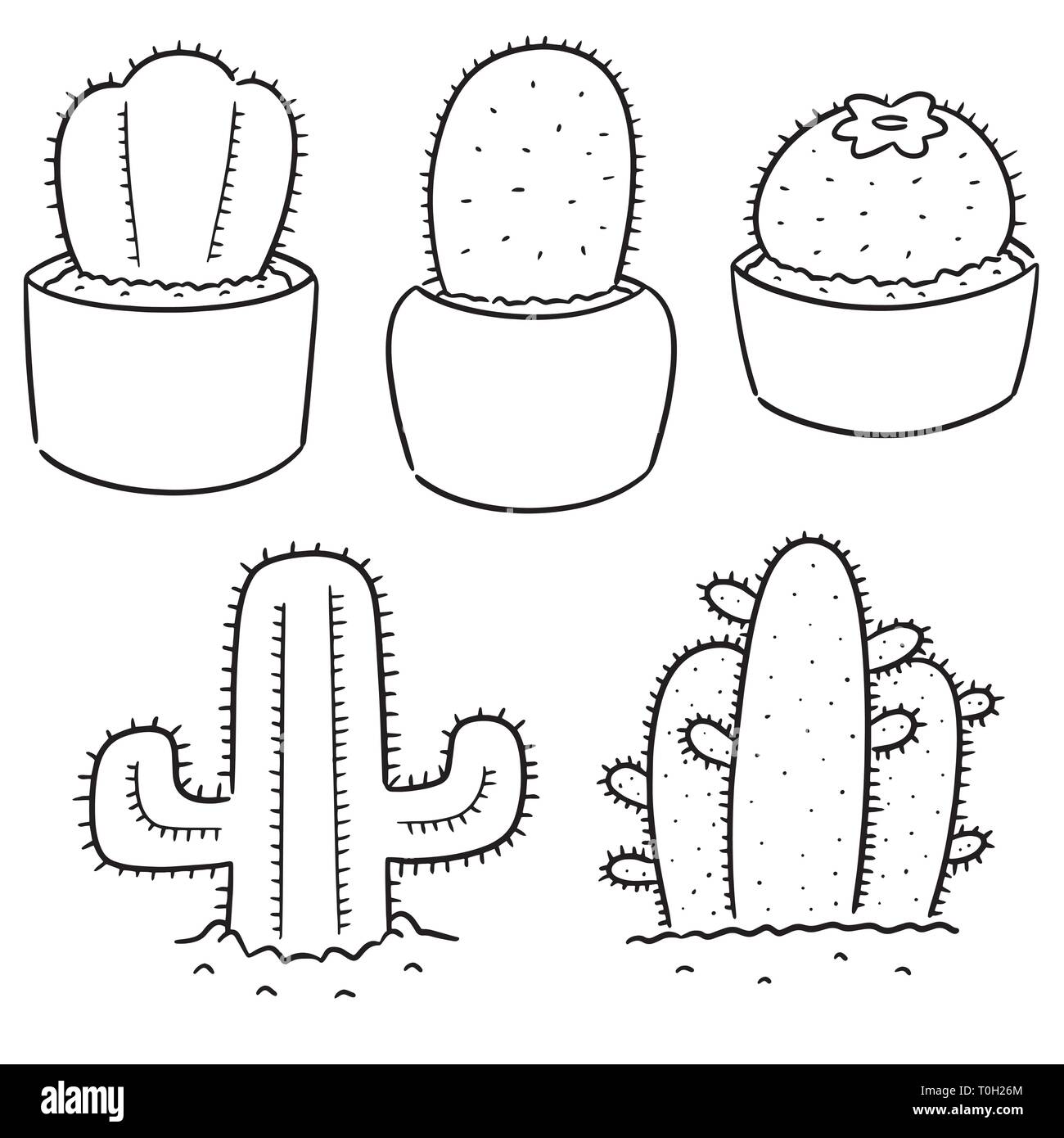 Botanic cactus plant desert Black and White Stock Photos & Images - Alamy
