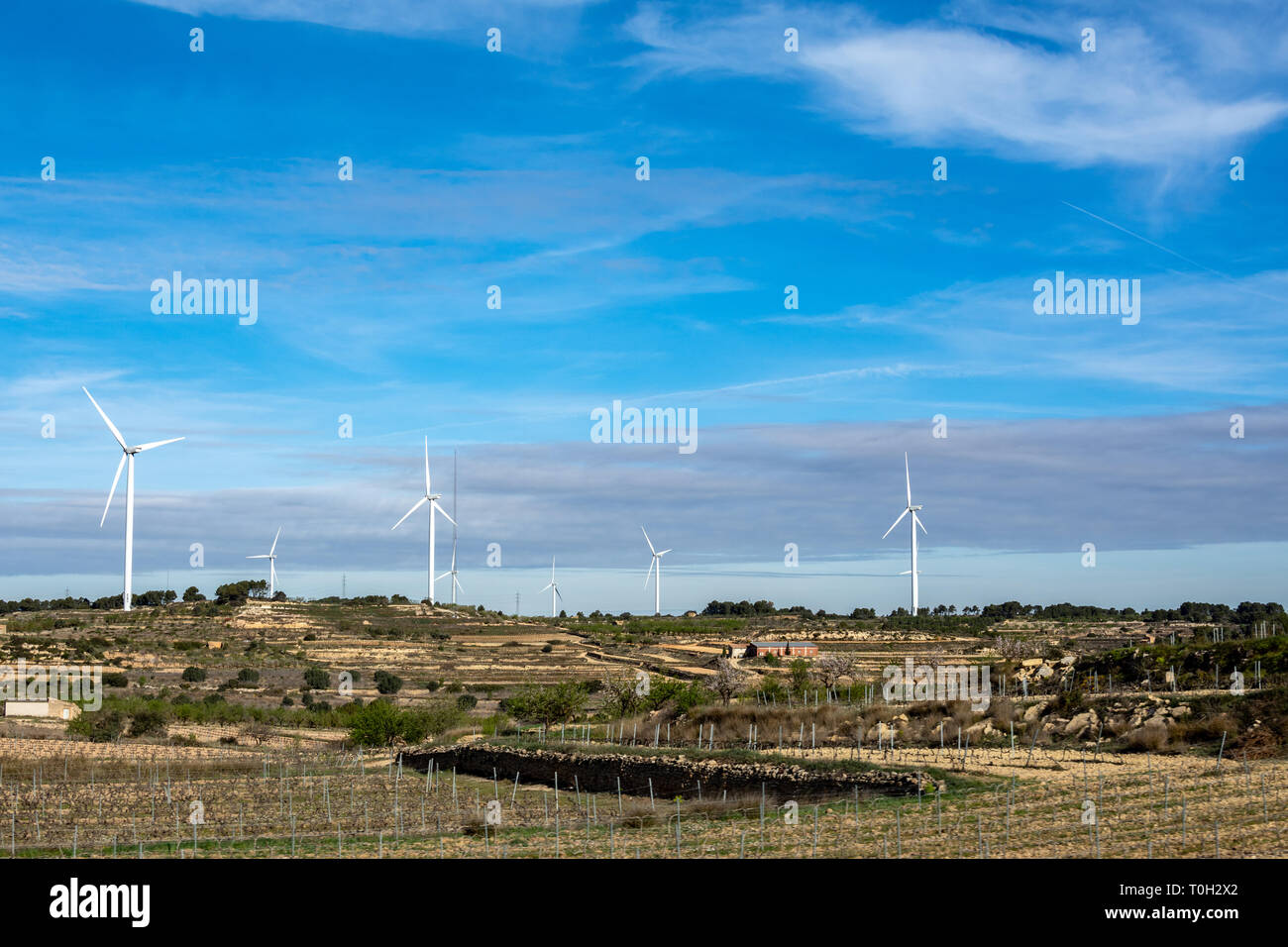 Beautiful landscape of group of windmills Stock Photo - Alamy