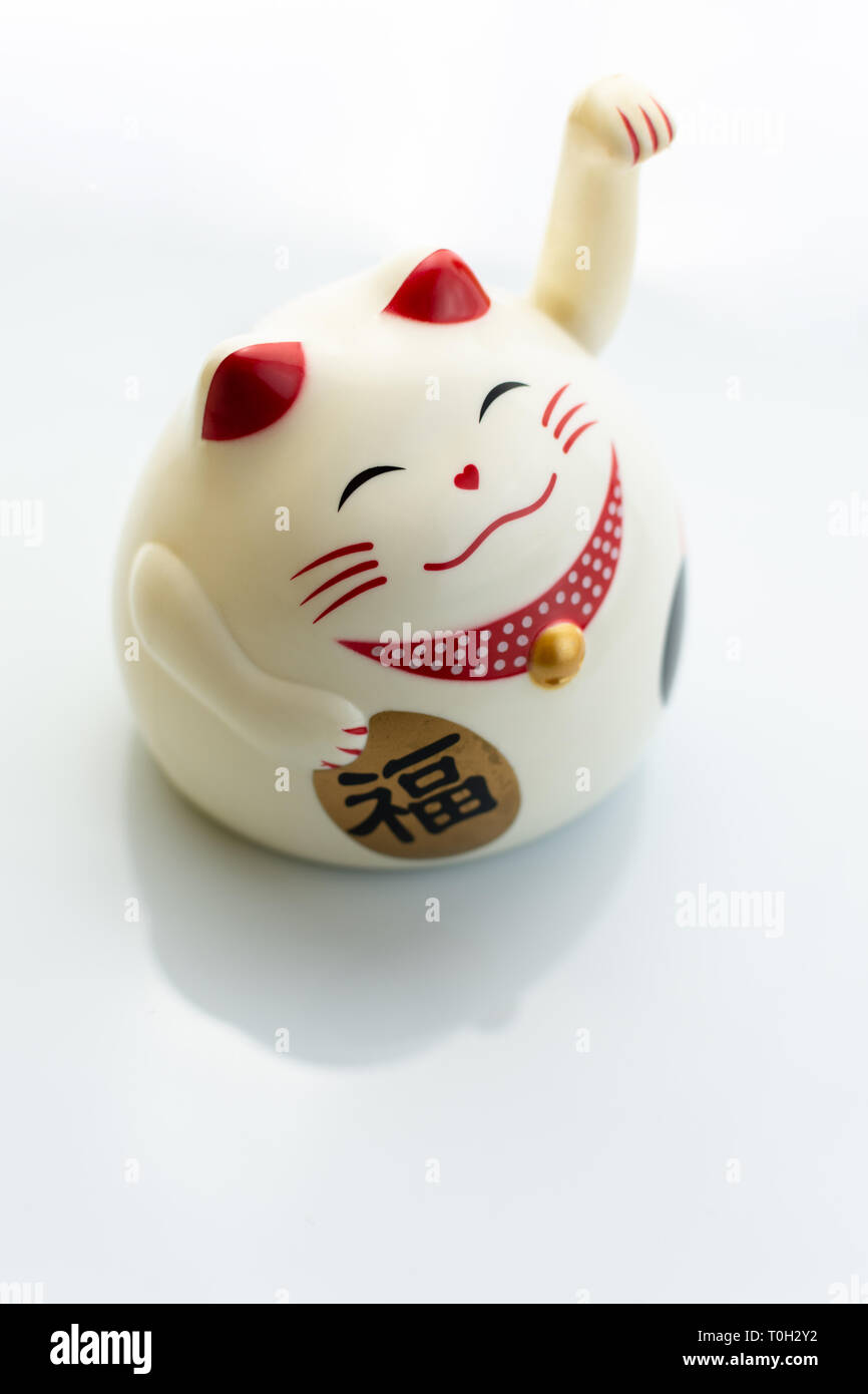 Fortune cat isolated in white background Stock Photo - Alamy