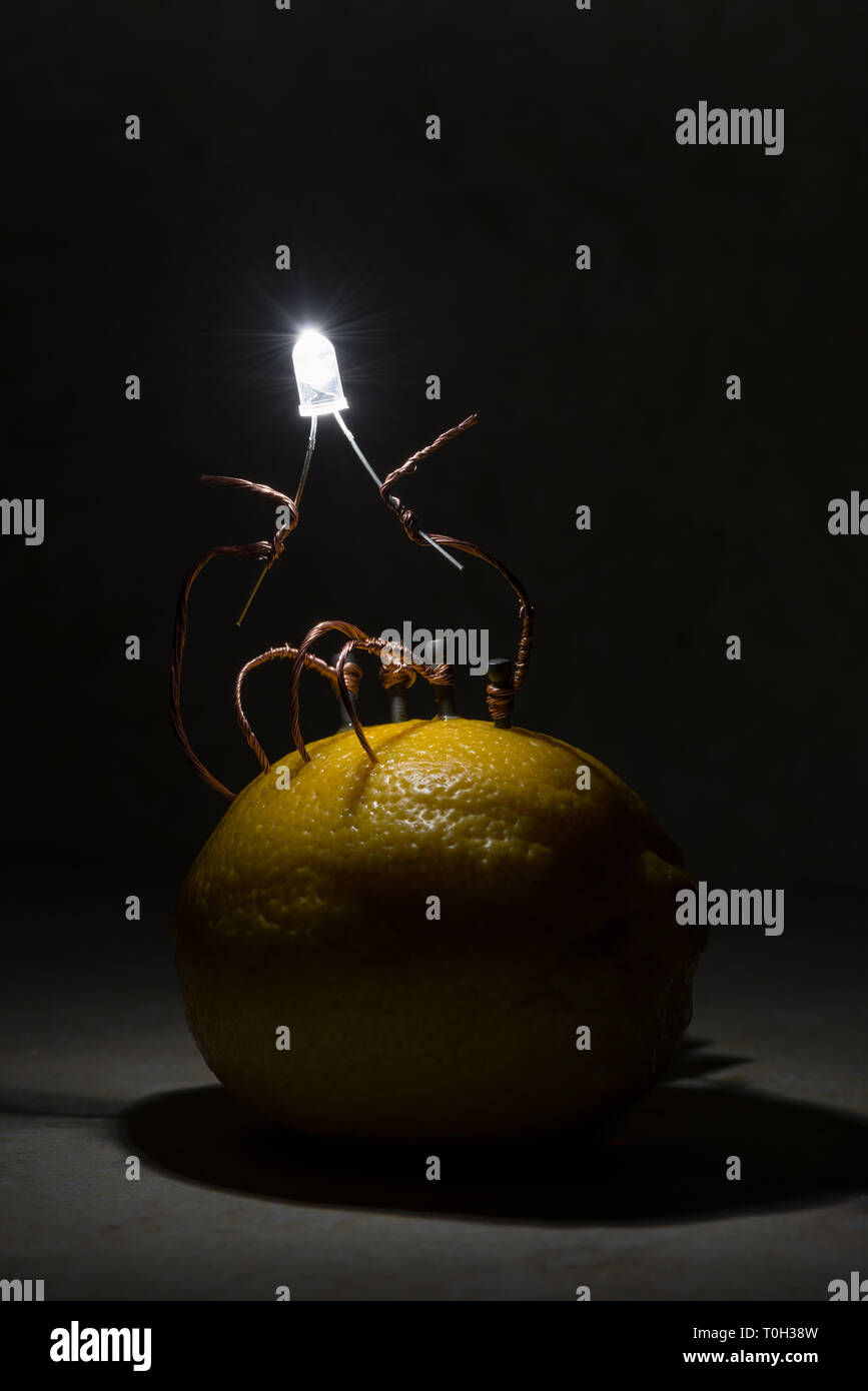 Citrus fruit, lemon, lime battery demonstrating an alternative organic ...
