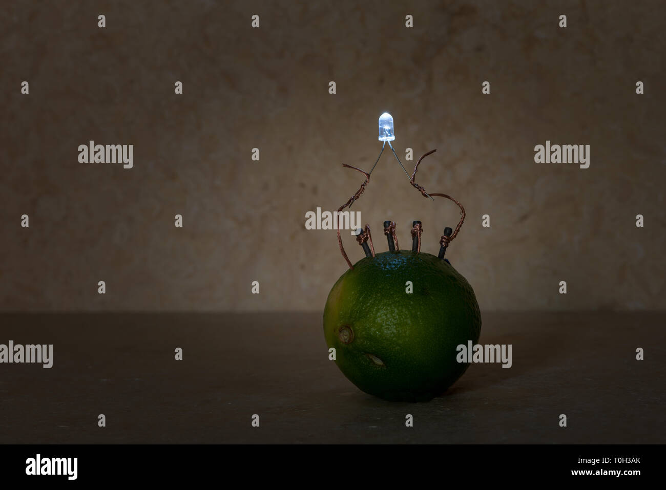 Citrus fruit, lemon, lime battery demonstrating an alternative organic ...