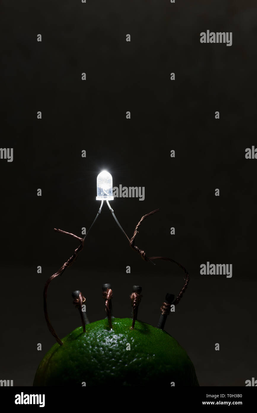Citrus fruit, lemon, lime battery demonstrating an alternative organic ...
