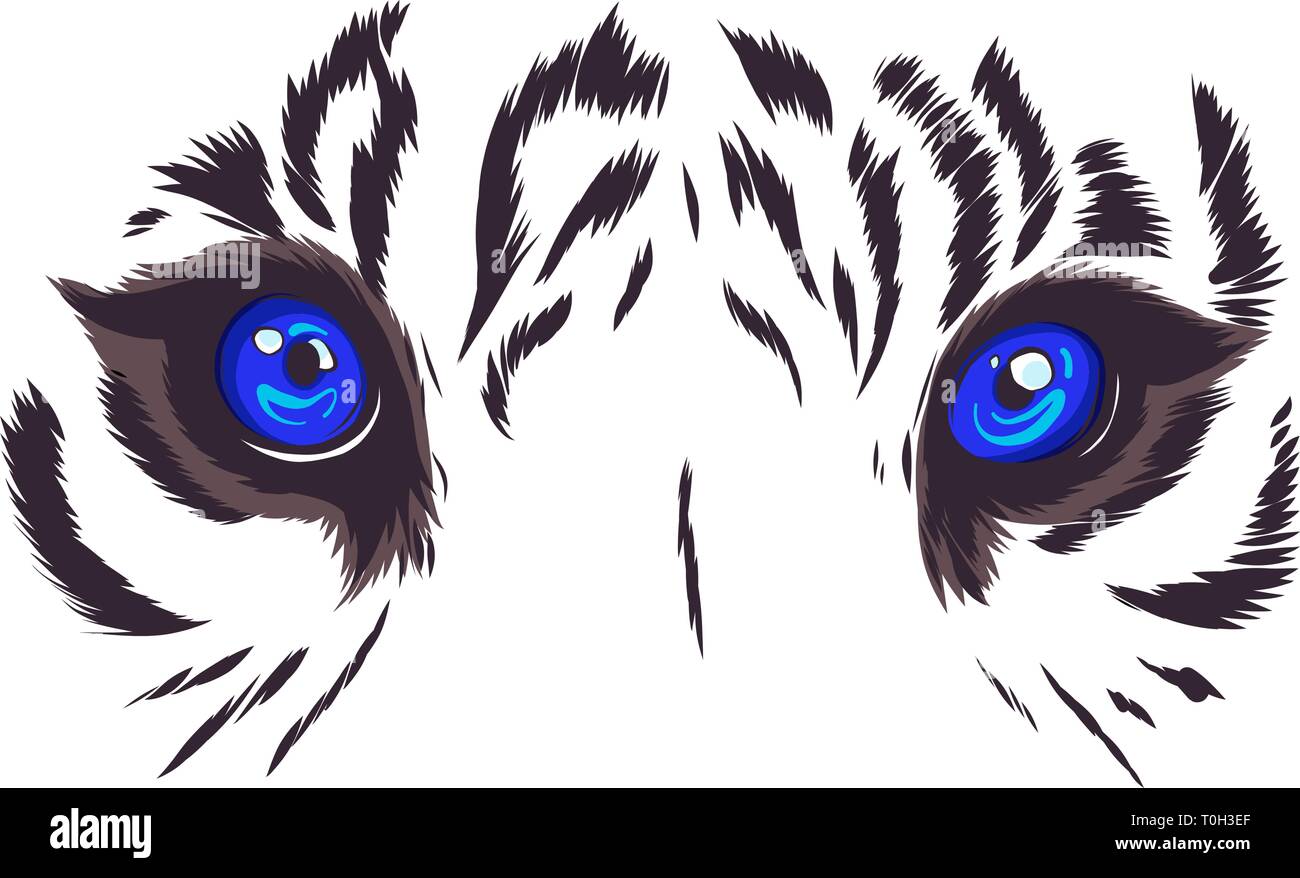 Tiger eyes mascot graphic hi-res stock photography and images - Alamy