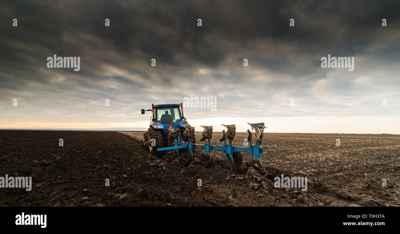 Farmer plowing stubble fields Stock Photo - Alamy