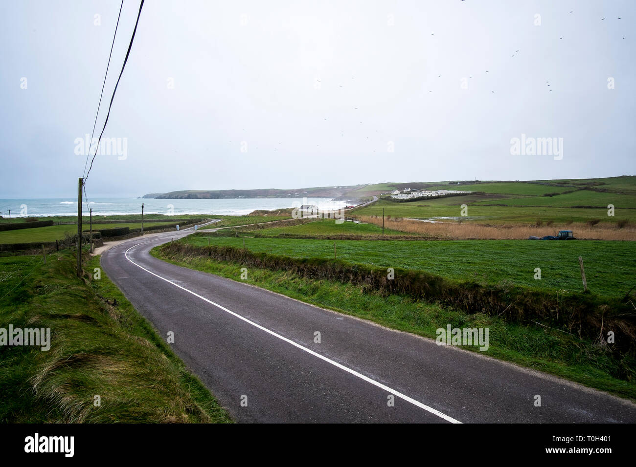 The road leading away from Red Strand Beach, County Cork, Ireland Stock ...