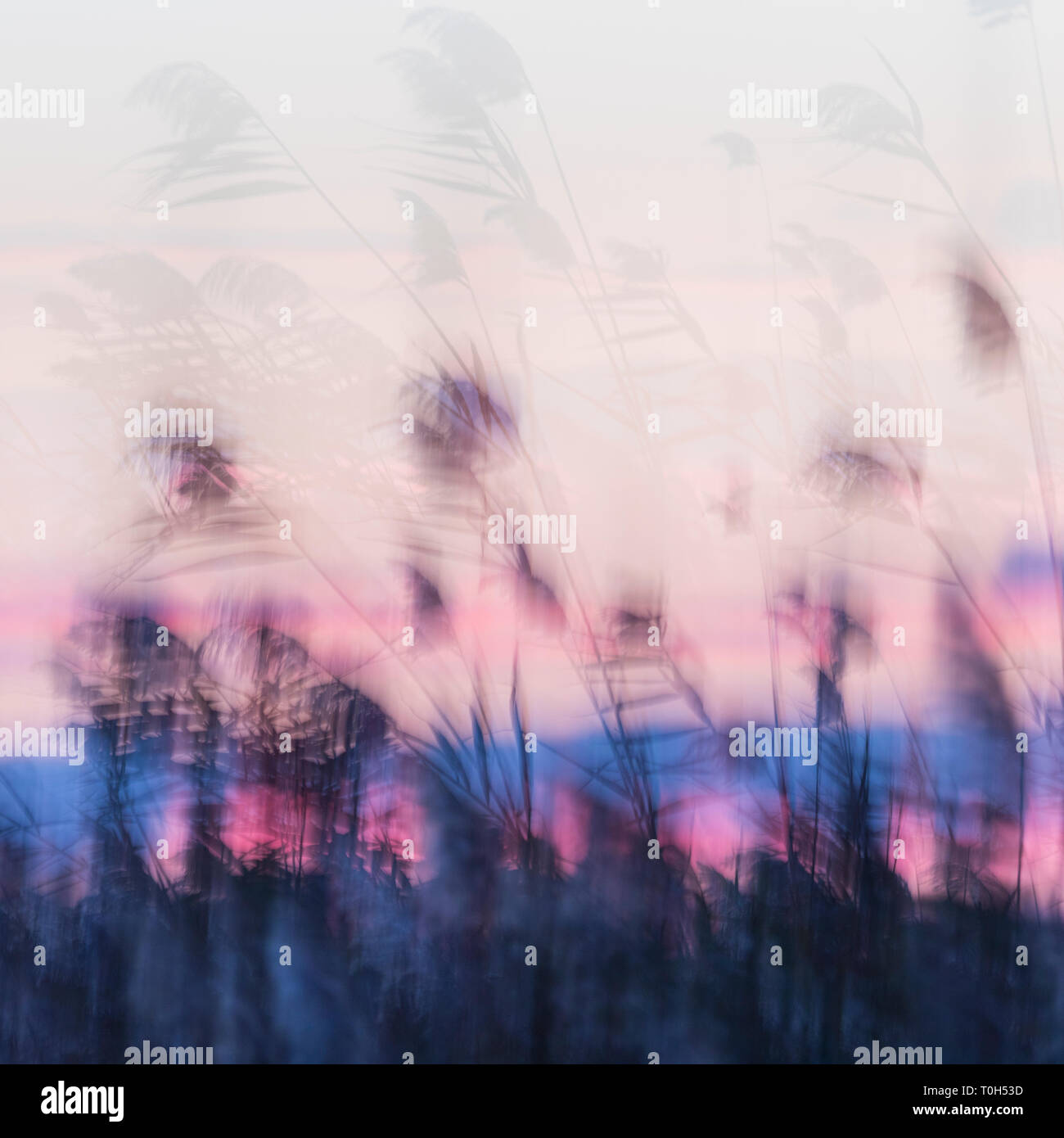 Wetland sunset danube delta hi-res stock photography and images - Alamy