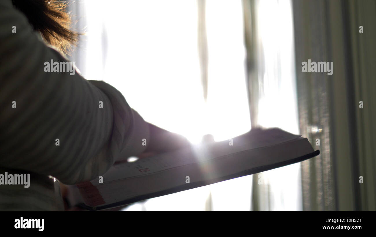 Woman reading Diary with entries near window, sun rays Stock Photo - Alamy