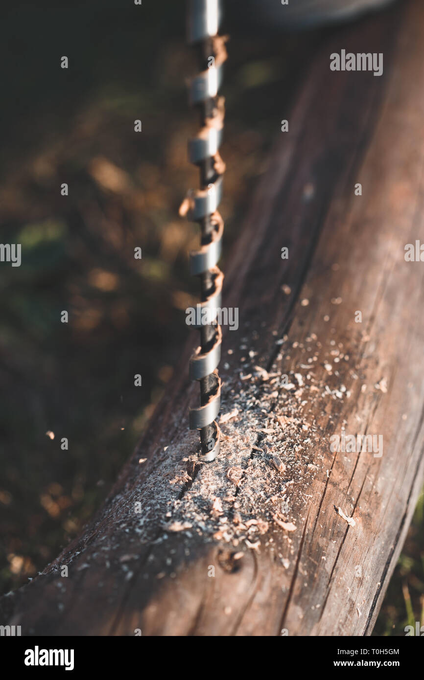 Drilling hole in timber while working in garden Stock Photo - Alamy