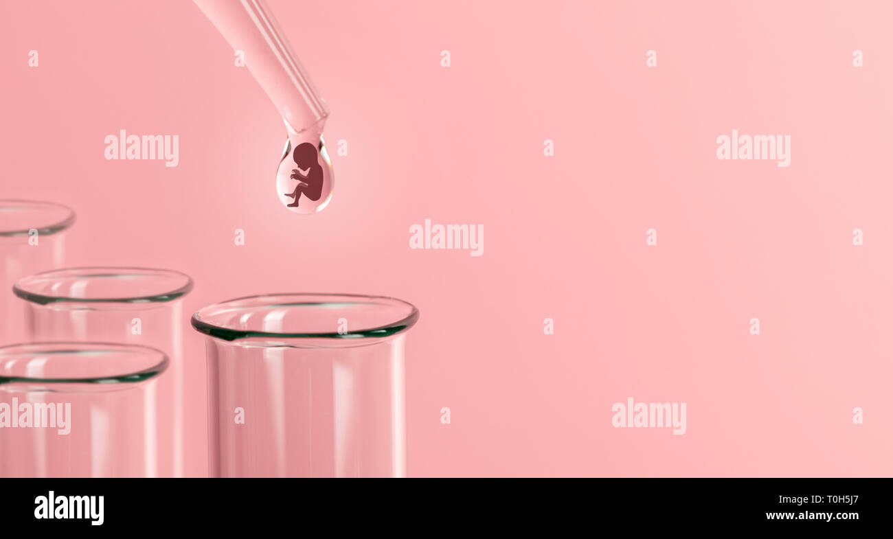 Artificial insemination. Test tube baby, IVF. On the tip of the pipette ...