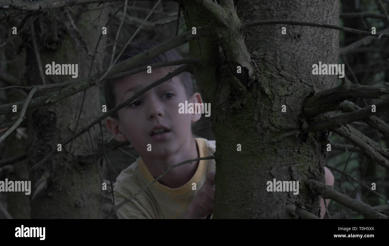 Boy hiding behind tree in hi-res stock photography and images - Alamy