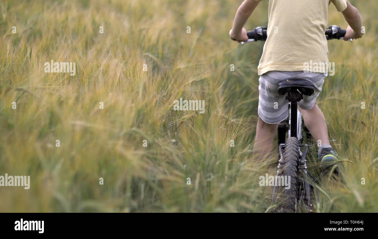 Back view boy on bicycle hi-res stock photography and images - Alamy