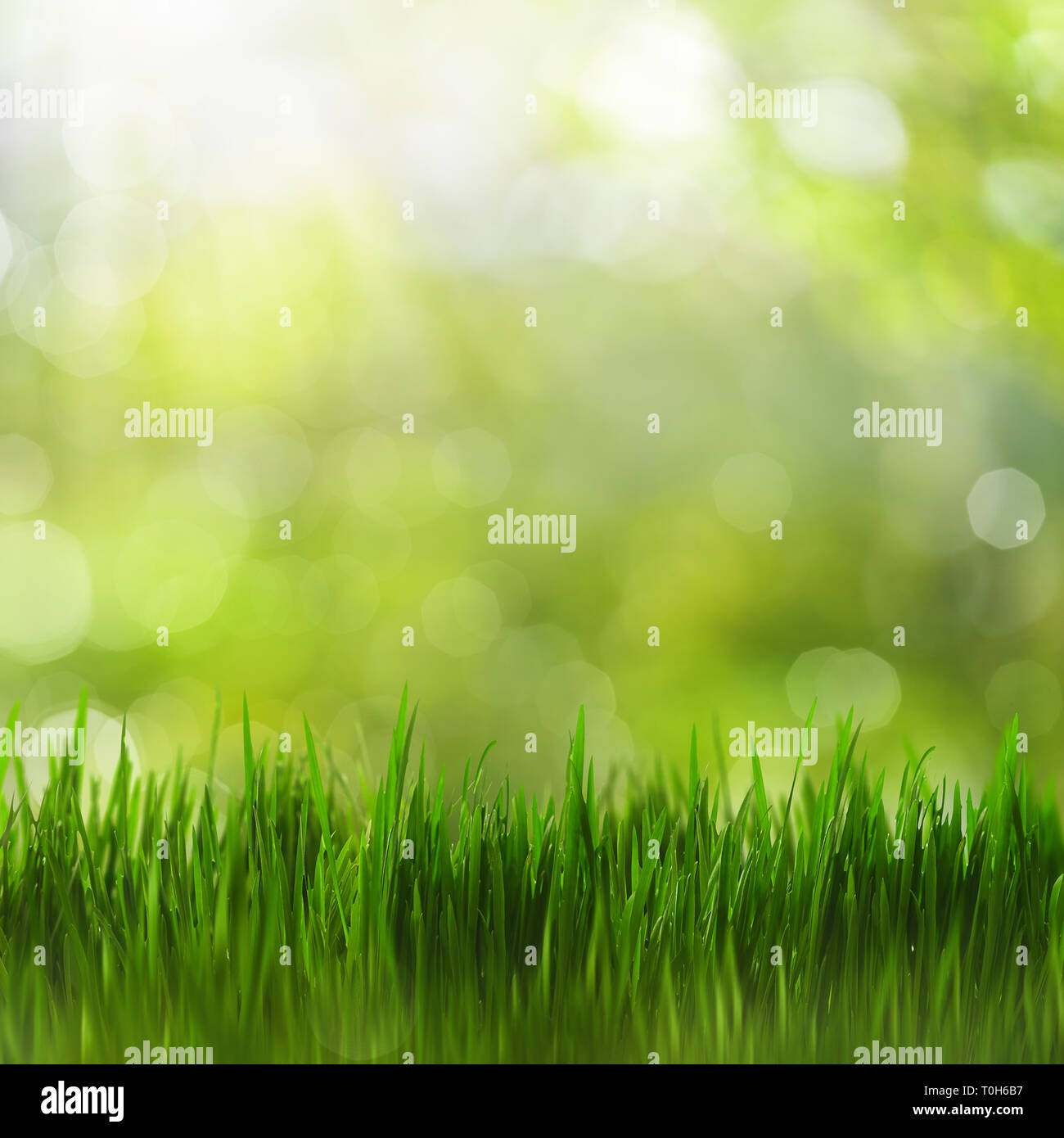 Summertime bright hi-res stock photography and images - Alamy