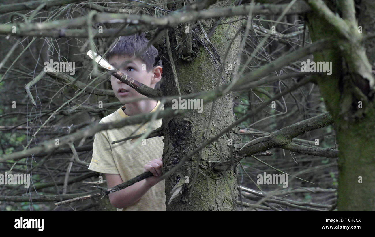 frightened boy walks through a terrible dry forest in the evening Stock ...
