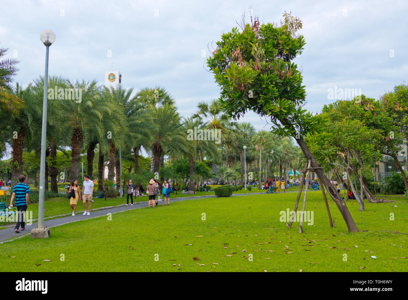 Chatuchak Park, Northern Bangkok, Bangkok, Thailand Stock Photo - Alamy