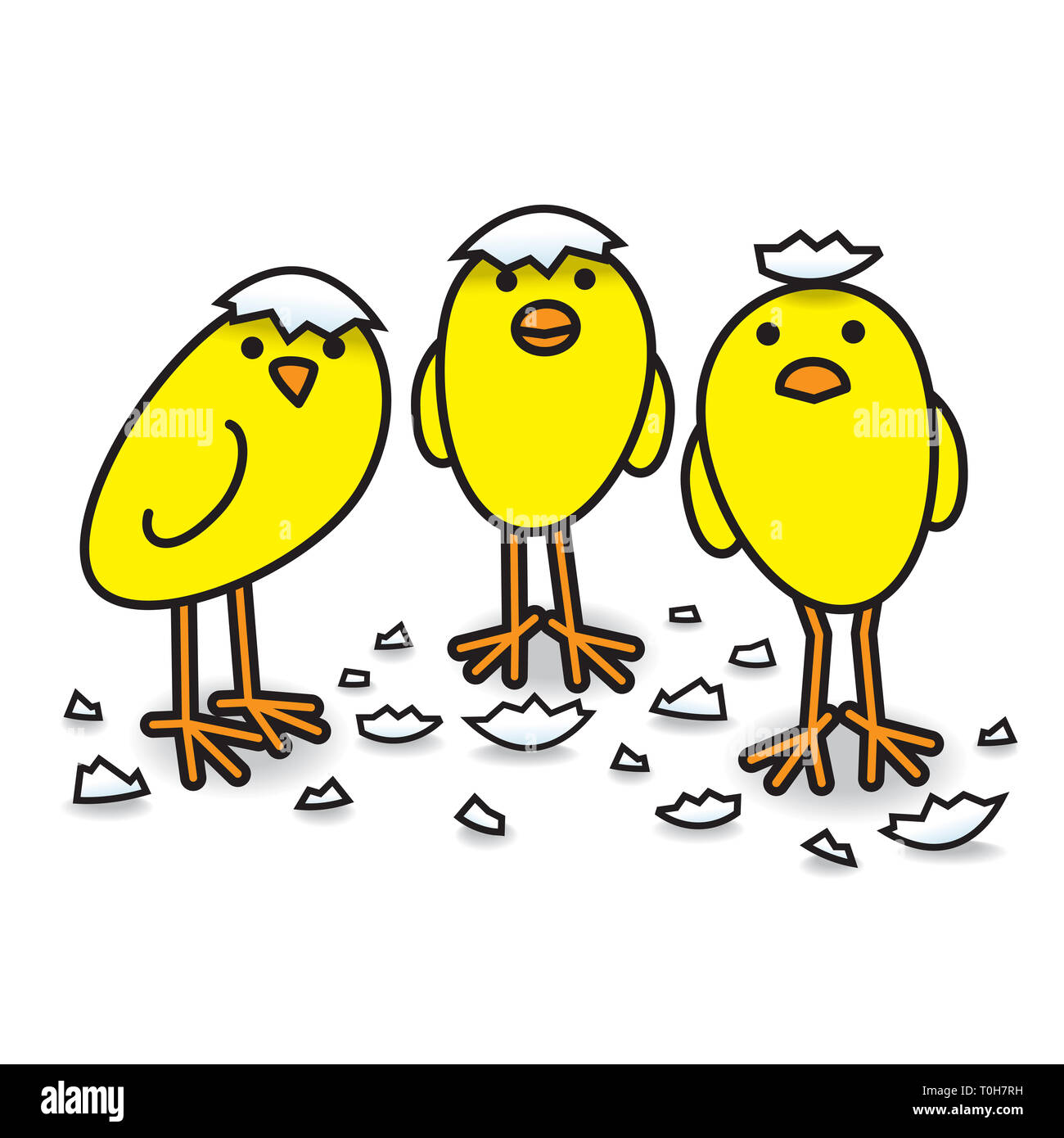 Three Cute Freshly Hatched Yellow Chicks with Egg Shell Fragments ...