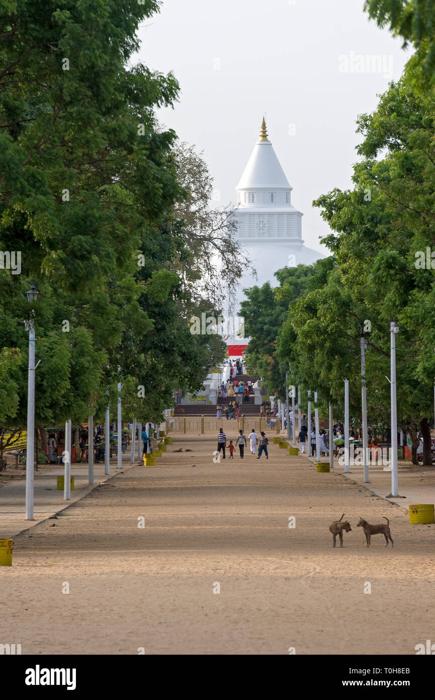 Kataragama temple hi-res stock photography and images - Alamy