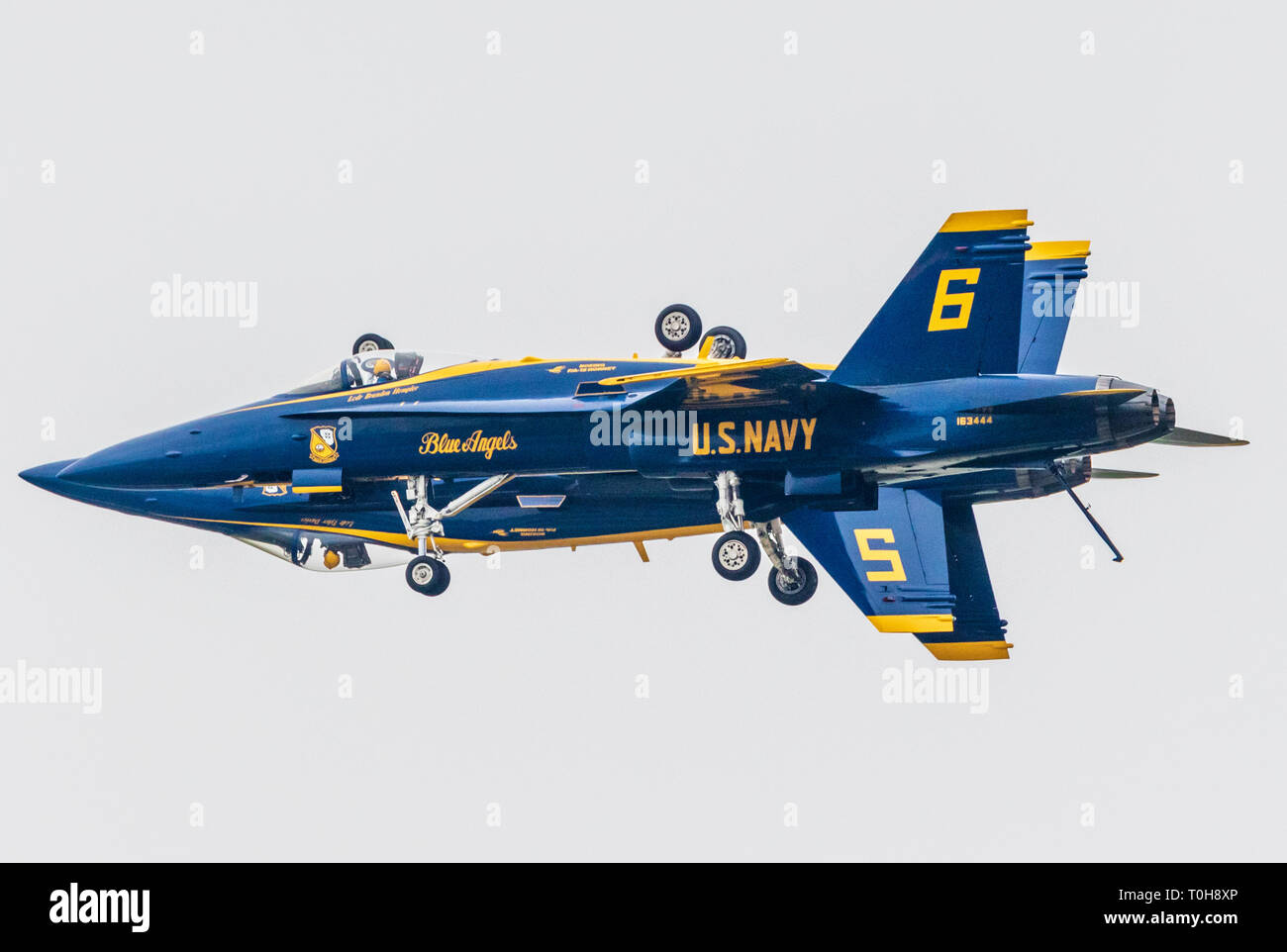 Skilled fighter hi-res stock photography and images - Alamy