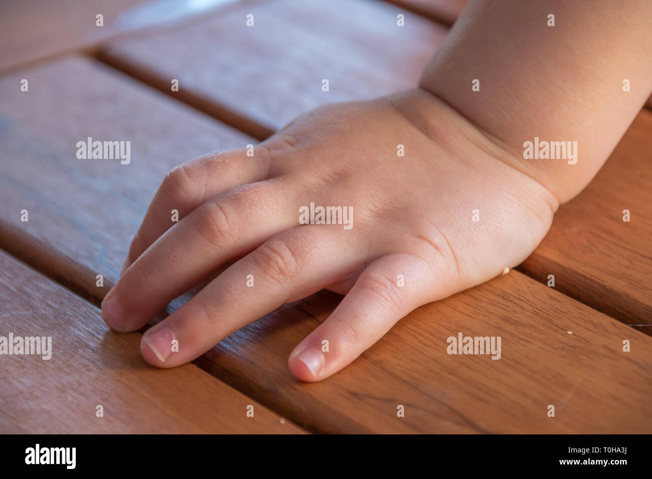 Closeup of a caucasian child hand isolated on a table surface image ...