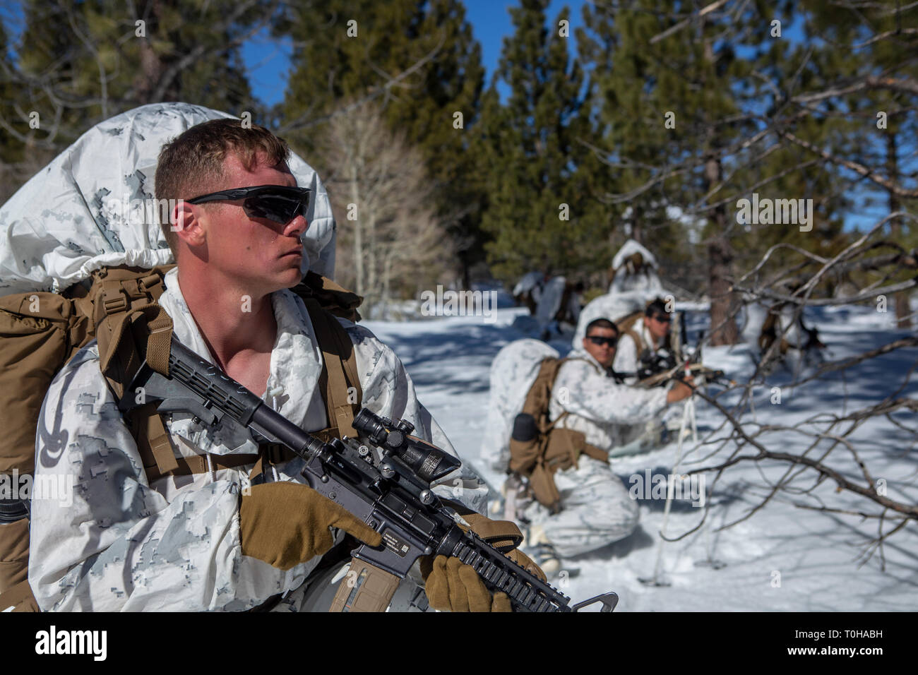 Usmc mountain warfare training center hi-res stock photography and ...
