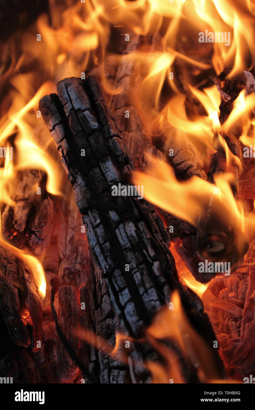 A shot of burning firewood in the fireplace. Close-up. Burning wood for ...