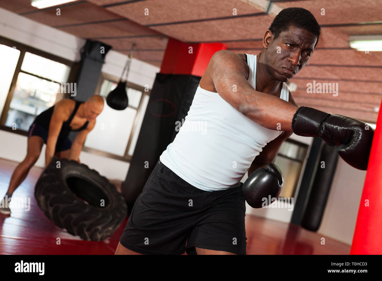 Training of muscular boxers in the gym Stock Photo - Alamy