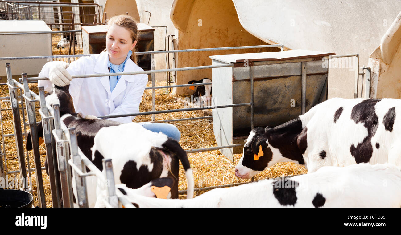 Portrait of young positive woman doctor working on dairy farm Stock ...