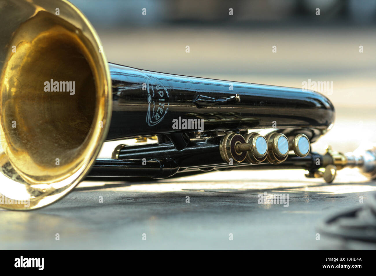 Jupiter trumpet hi-res stock photography and images - Alamy
