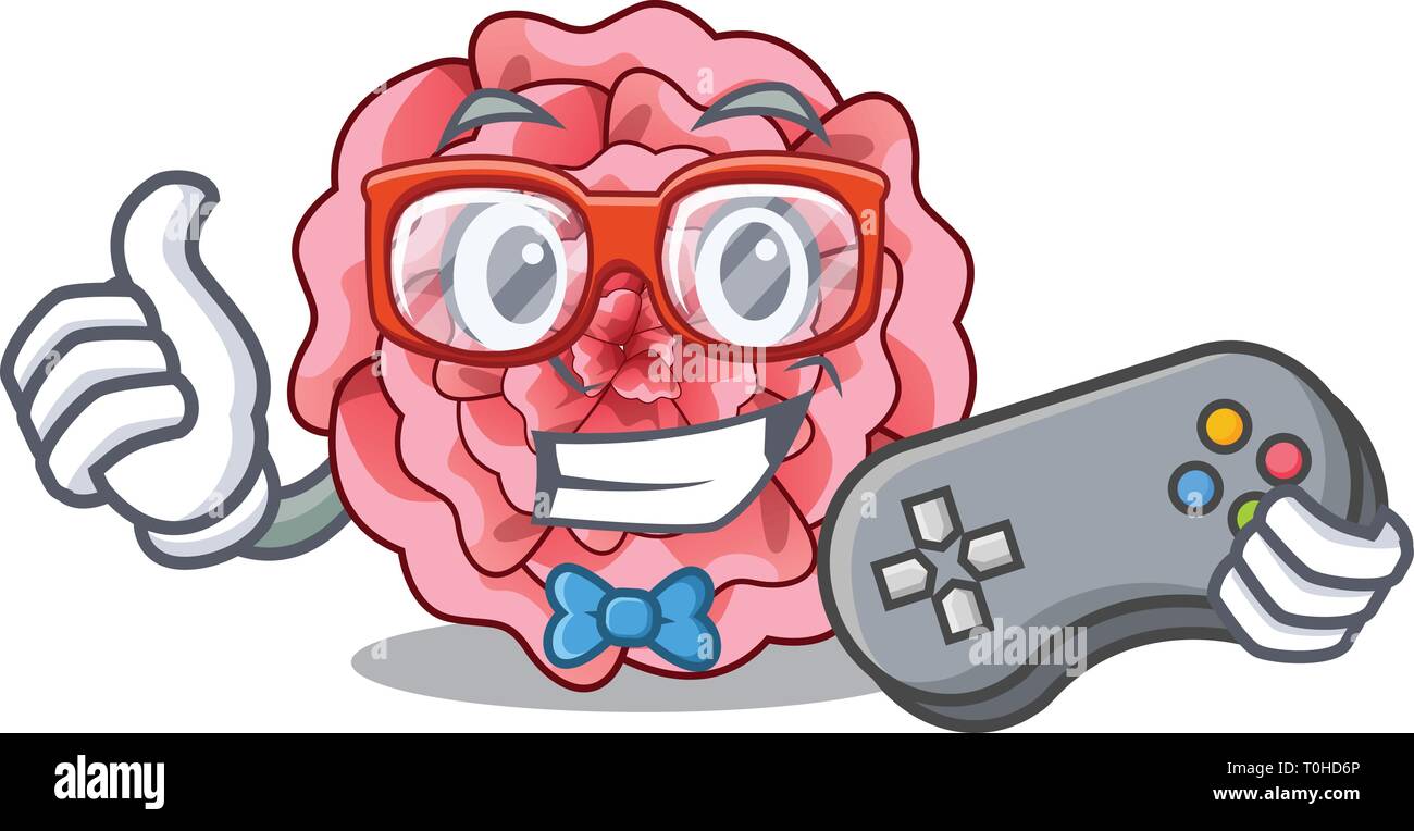 Gamer carnations flower isolated with the cartoon Stock Vector Image ...
