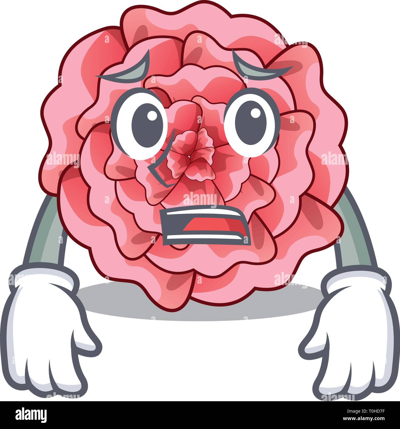 Carnation carnations dianthus Stock Vector Images - Alamy