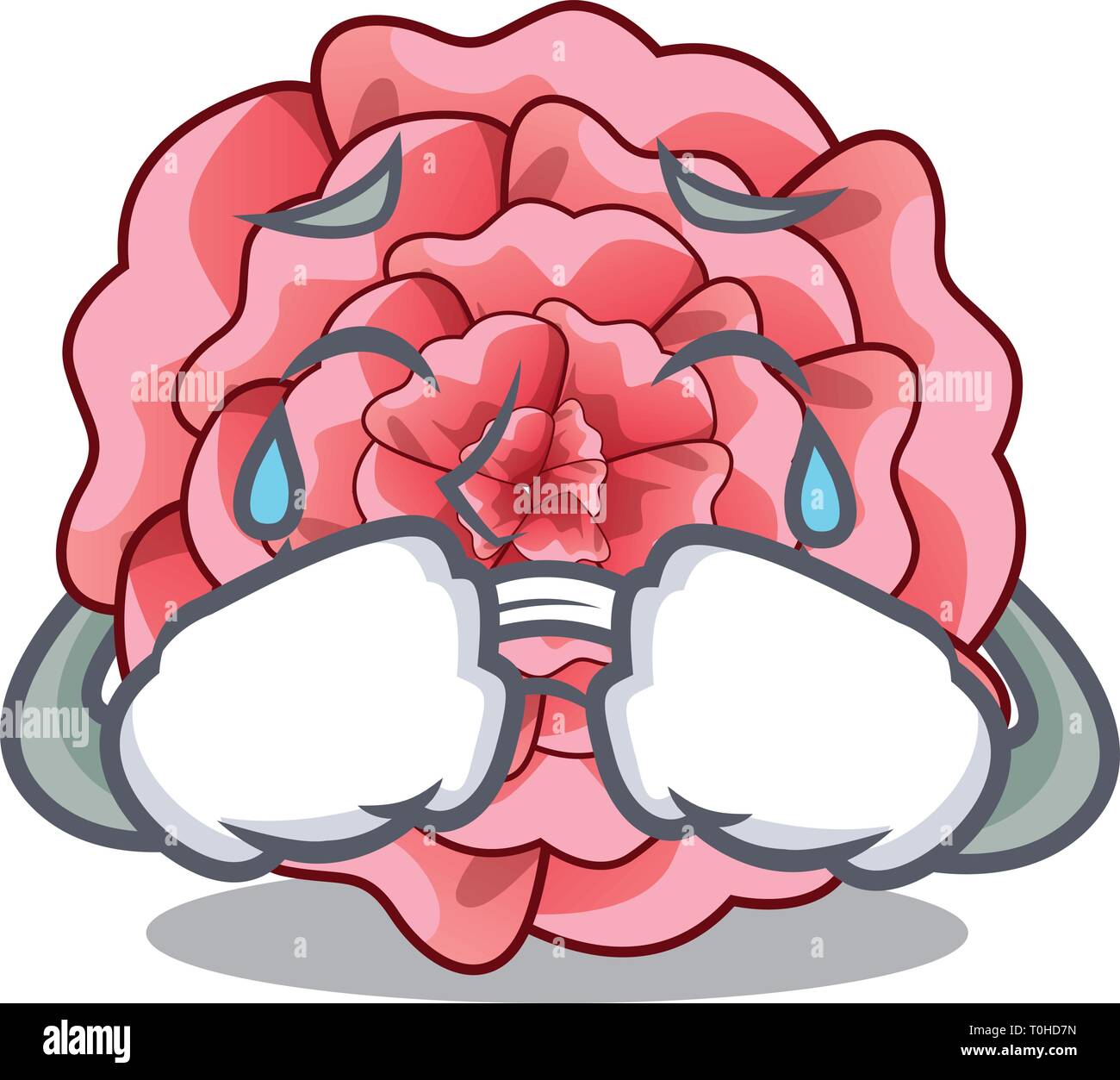 Crying carnations flower isolated with the cartoon Stock Vector Image ...