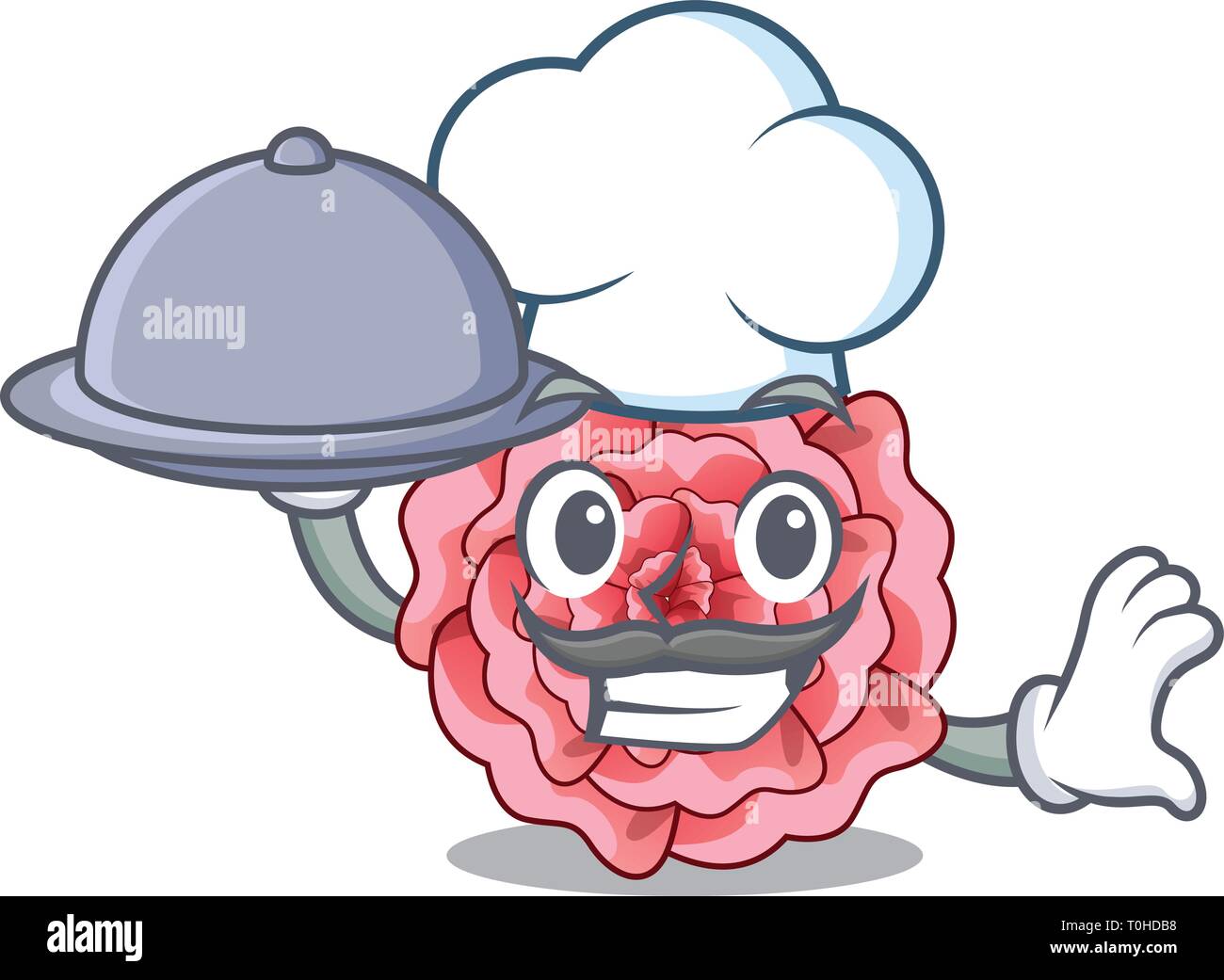 Chef with food carnations flower isolated with the cartoon Stock Vector ...