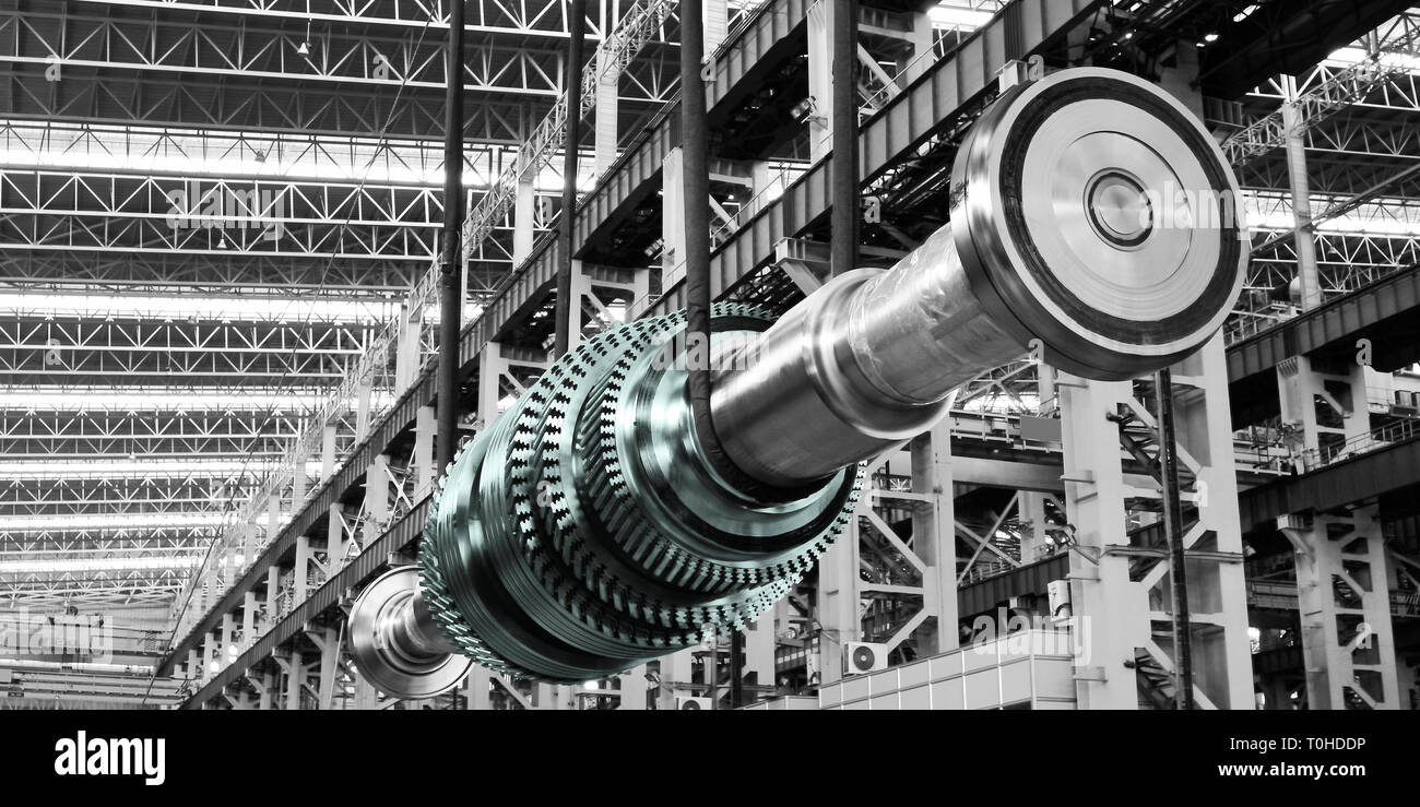 Indian black crane hi-res stock photography and images - Alamy