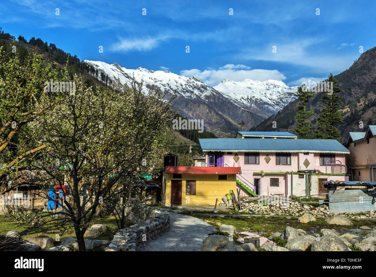 Village, Harsil, Uttarakhand, India, Asia Stock Photo - Alamy