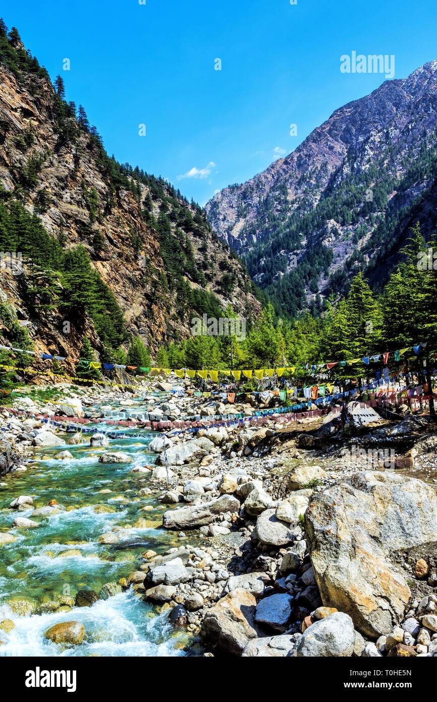 Bhagirathi River, Harsil, Uttarakhand, India, Asia Stock Photo - Alamy