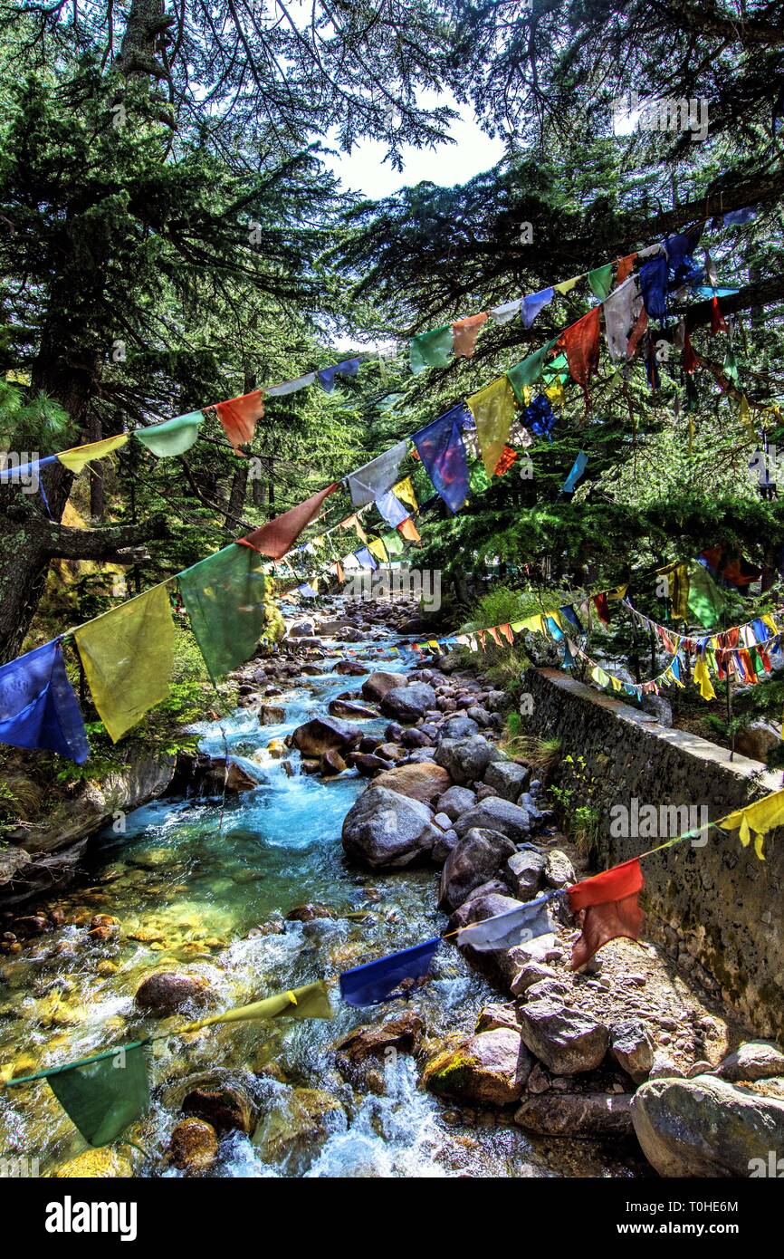 Harsil india hi-res stock photography and images - Alamy