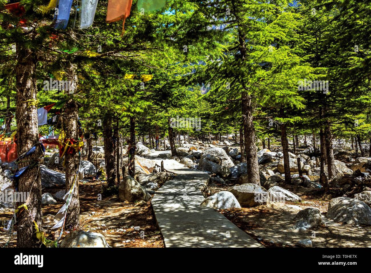 Harsil india hi-res stock photography and images - Alamy