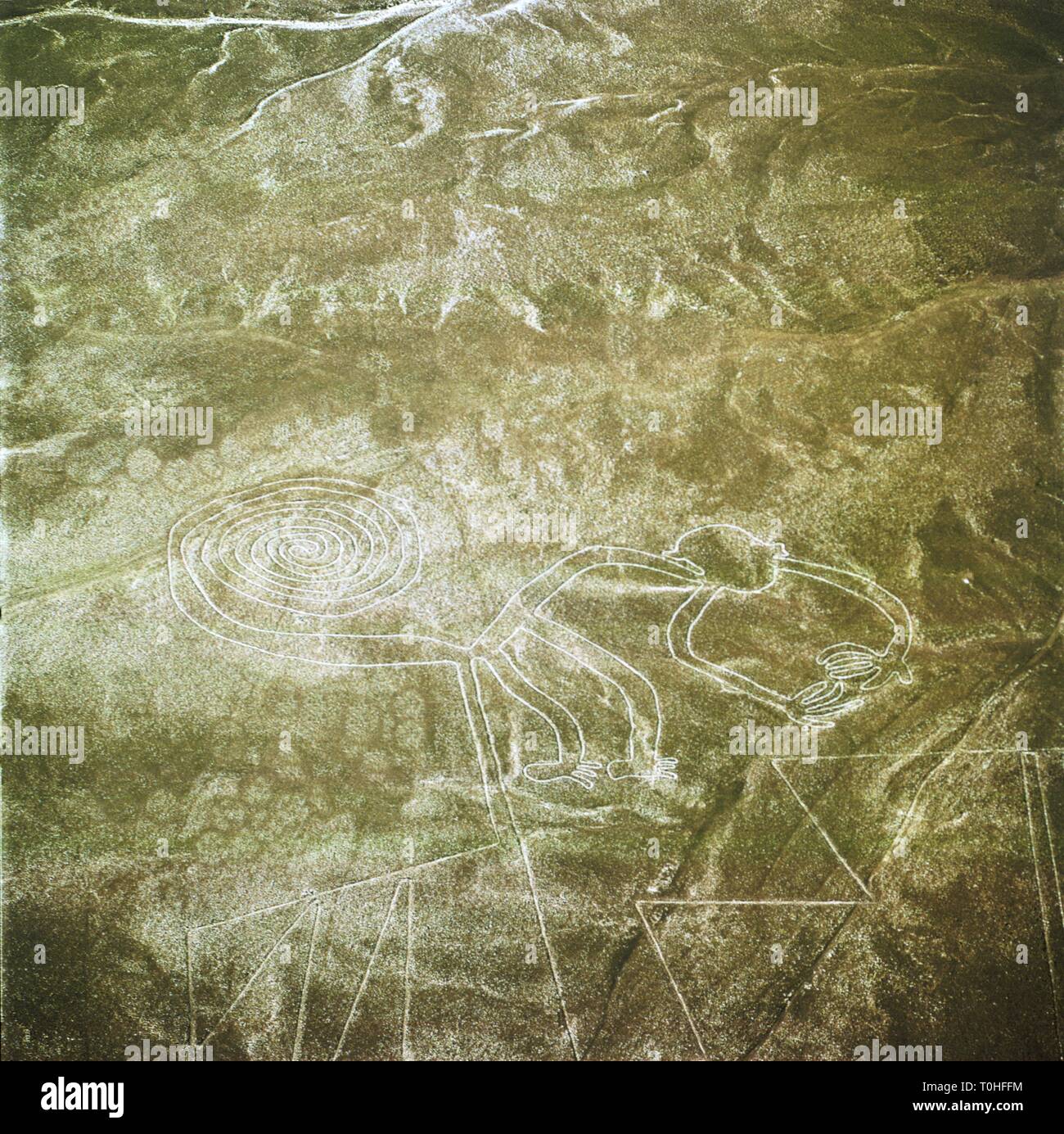 The Monkey, Nazca Lines, Ica, Peru, 2015. Creator: Luis Rosendo Stock ...