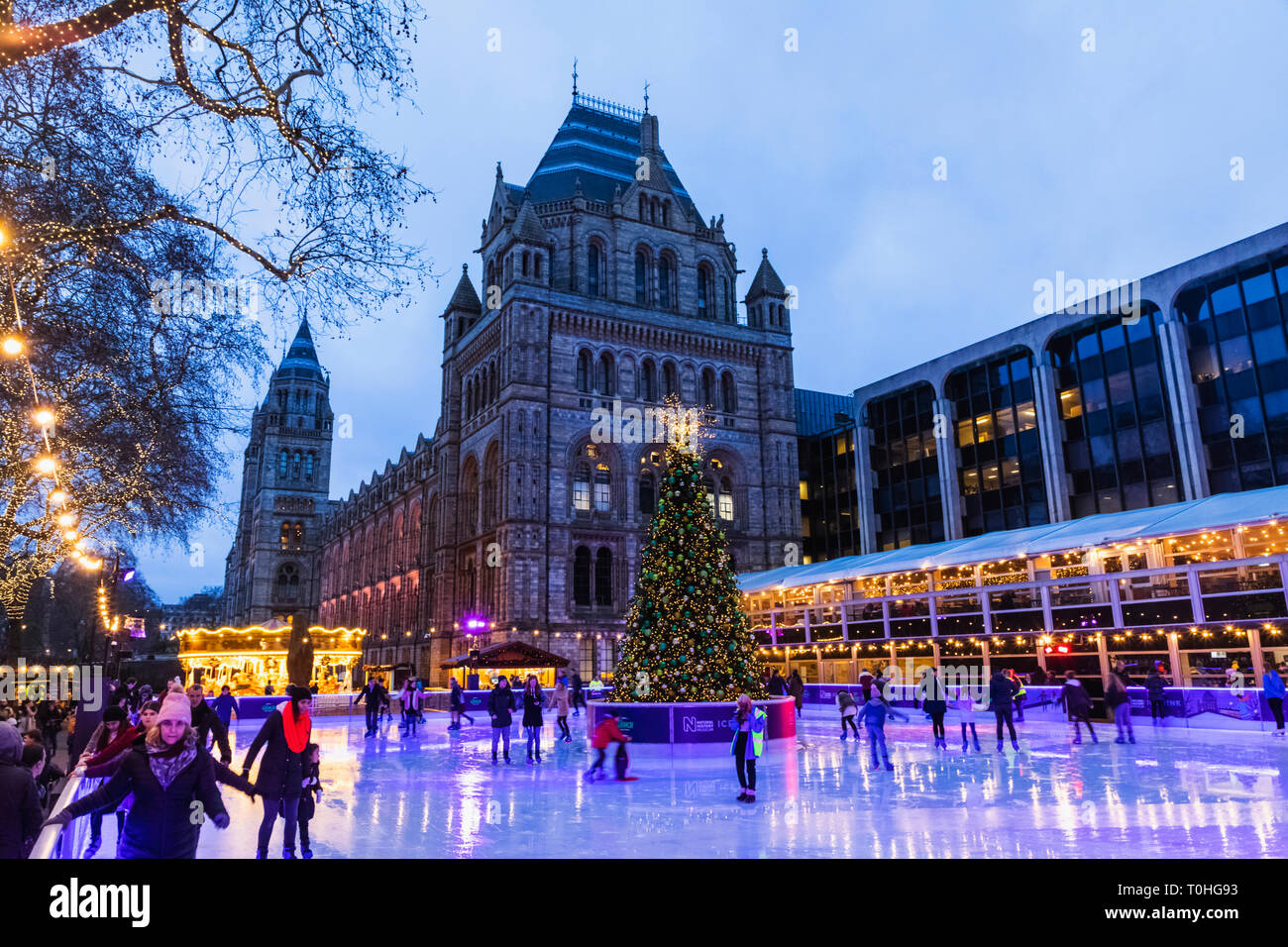 England, London, South Kensington, Natural History Museum Ice Rink, Ice ...