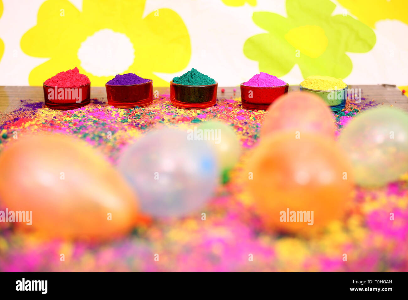Portrait of colorful organic holi color and water balloons for holi fun ...