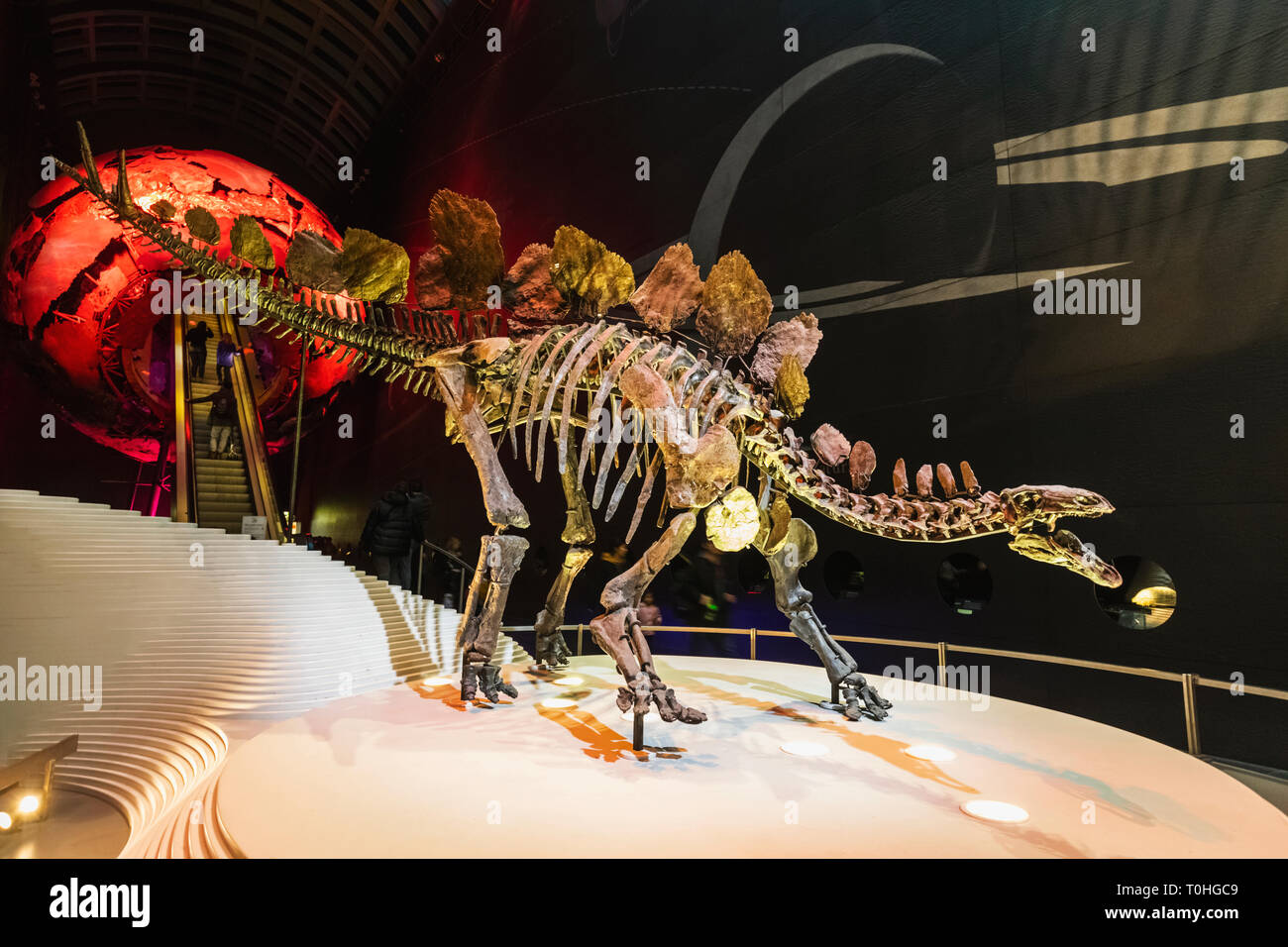 London natural history museum earth hall hi-res stock photography and ...